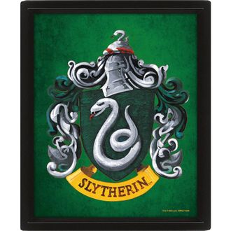 Harry Potter Gerahmtes Poster, Slytherin (28,5 cm x 23,6 cm) (Gr&uuml;n/Grau/Gelb)