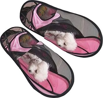 Generic Chaussons Femme Homme Mignon Petit Caniche En Poussette Pour Chien Chaussures Confort Chausson DHiver Antid&eacute;rapant Chaussures DInt&eacute;rieur Pour H&ocirc;tel Ex