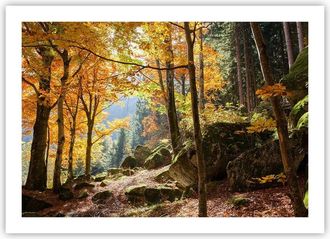 Arttor Wandposter Art Prints 70x50cm Poster ohne Rahmen Herbst berg wald natur Küche Wanddeko Bild Wand Kunstdruck Deko Wandbilder Dekoration Wohnzimmer Schl
