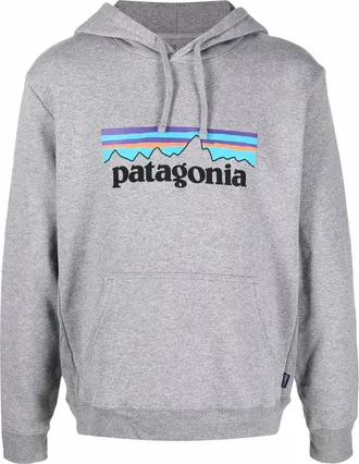 Patagonia Pulls Gris