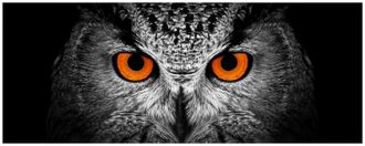 Wallario Glasbild Blick aus der Dunkelheit - 50 x 125 cm Wandbilder Glas in Premium-Qualit&auml;t: Brillante Farben, freischwebende Optik