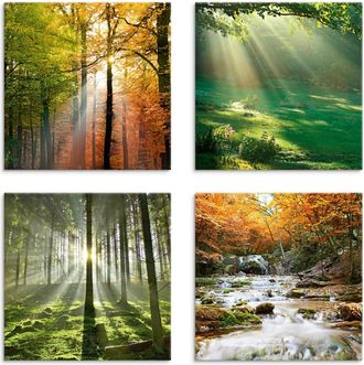 Artland Wanddeko Leinwand Bilder Natur Set 4 tlg. je 40x40 cm Quadratisch Wandbilder Natur Waldbilder Herbst Wald U2YC