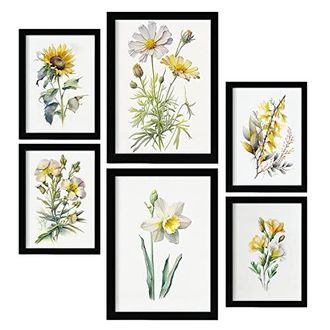 Nacnic Fleurs jaunes Affiches. Illustrations Nature et Botanique en Couleur avec des Th&egrave;mes Floraux sur des Arri&egrave;re-plans Blancs Purs. Design dint&eacute;rieur et d