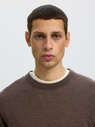 Selected Rundhalspullover SLHTRAY LS KNIT MERINO CREW NECK NOOS Wolle, regular fit