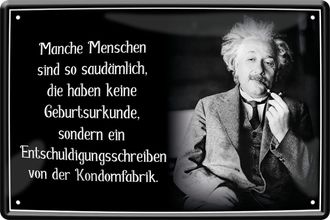 Generic Blechschild Manche Menschen sind so saudämlich (Einstein) 20x30cm Geschenk Lustige Sprüche Feier Vintage Retro Geburtstag Deko Party Überraschung Fan 