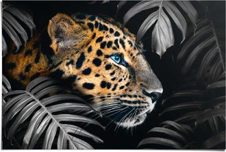 Reinders Poster, Leopard, Schlafzimmer, Poster, Wanddeko, Room Decor, 150 gr. gl&auml;nzend Bilderdruckpapier, Mehrfarbig, 61 x 91,5