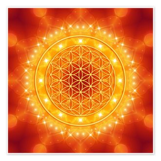 Posterlounge Blume des Lebens - Goldene Lichtenergie Poster von Dolphins DreamDesign 100 x 100 cm Wandbilder Wanddeko