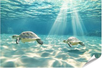 Islandburner XXL Bild Poster Meeresschildkröten im klaren blauen Wasser für Wohnzimmer Naturliebhaber Wellness-Spa Premium Bilder Fotodruck