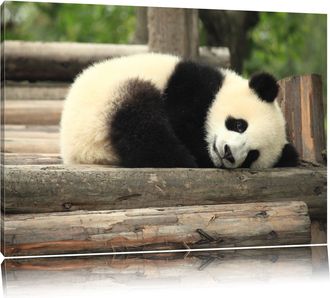 Pixxprint süßer kleiner Pandabär, Größe: 120x80cm, Leinwandbild, fertig gespannt, Wandbild, Dekoration, Kunstdruck, kein Poster