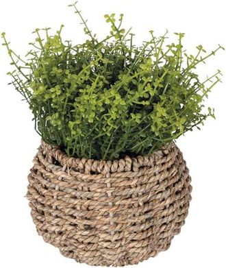 Villa D'Este Home Tivoli Kunstpflanze Soleirolia, Topf aus Naturfaser, &Oslash;14x20cm