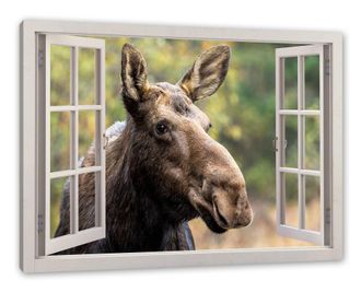 Pixxprint Elch im Wald, Fensterbild, Größe: 100x70cm, Leinwandbild, fertig gespannt, Wandbild, Dekoration, Kunstdruck, kein Poster