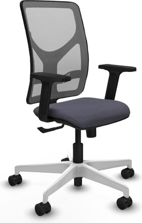 Piqueras y Crespo B&uuml;rostuhl, grau, mit 2D-Armlehnen, h&ouml;henverstellbare Lendenwirbelst&uuml;tze, ausgestattet mit 3 Positionen und Schneideschaum. Mit Rollen von 65 mm Nylon.