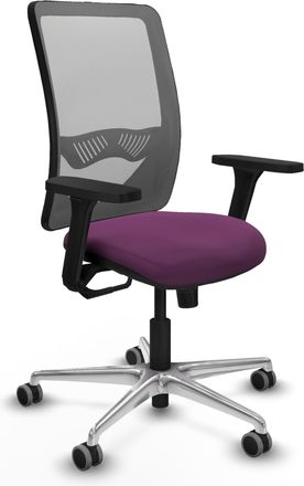 Piqueras y Crespo Lila Schreibtischstuhl Zulema mit 3D-Armlehnen, h&ouml;henverstellbare Lendenwirbelst&uuml;tze, ausgestattet mit Sincro 3 Positionen und Schneideschaum, Grau/Vi