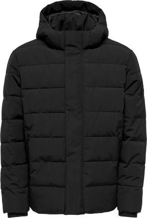 Only & Sons Male Daunenjacke ONSCAYSON Daunenjacke
