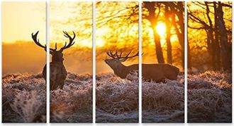 Islandburner Tableau sur toile Deux cerfs au soleil du matin Cadre Affiche Poster Murale Tableaux