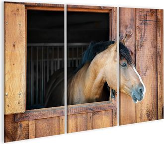 Islandburner Bild auf Leinwand Braunes Pferd Schaut Neugierig Aus Fenster Kinderzimmer Bilder Wandbilder Poster