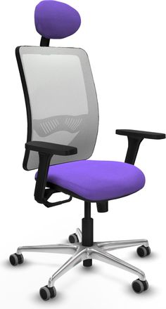 Piqueras y Crespo Schreibtischstuhl aus Zulema-Stoff mit 3D-Armlehnen, h&ouml;henverstellbarer Lendenwirbelst&uuml;tze und festem Kopfteil, ausgestattet mit 3 Positionen und Schn