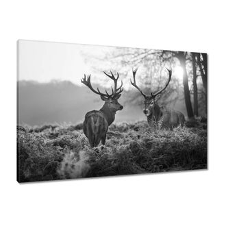 Generic H2467M_PC1L Wandbild auf Leinwand, 90 x 60 cm, Schwarz und Wei&szlig;