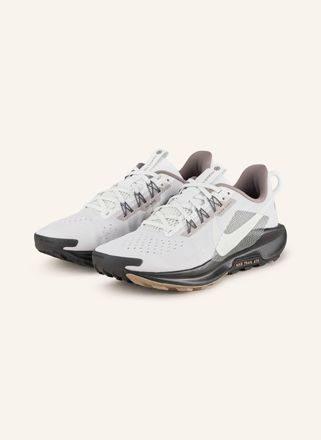 Nike Trailrunning-Schuhe Pegasus Trail 5 grau