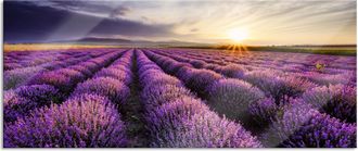 Pixxprint Glasbild Panorama, Wandbild aus Echtglas, Traumhafte Lavendel Provence, 120x50 cm, inkl. Aufhängung und Abstandshalter