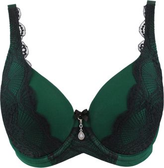 SugarShape BH Pure Divine