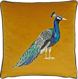 furn. Evans Lichfield Peacock Square Velvet Piped Pushion Cover
