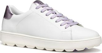 Geox Spherica Ecub-1 A Trainers EU 41