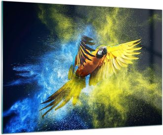 Arttor Bilder auf Glas 100x70cm Glasbild Papagei Vogel Feder Groß Wanddeko Bild im Glas Schlafzimmer Küche Deko Wandbilder Dekoration Wohnzimmer Modern Wall 