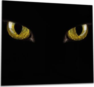 Wallario Herdabdeckplatte/Spritzschutz aus Glas, 1-teilig, 60x52cm, für Ceran- und Induktionsherde, Gelbe Katzenaugen bei Nacht