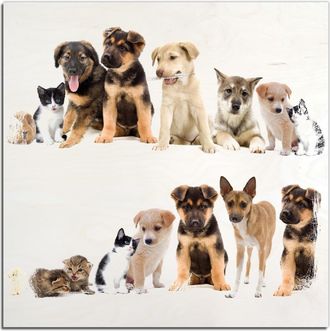 Wallario Wandbild aus Holz Süße Haustiere - Katzen Hunde Hamster Küken - 40 x 40 cm in Premium-Qualität: Brillante Farben