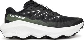 Salomon Laufschuhe Salomon Ultra Flow 2 L47883500 Schwarz