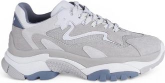 Ash Ash, Femme, Chaussures, Multicolore, Taille: 41 EU Baskets Addict