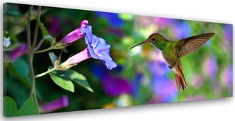 Feeby Bild auf Leinwand - Wandbilder Wohnzimmer Aesthetic - Kolibri Vogel Blumen Violett - 100x40 cm 1tlg - Schlafzimmer Wandekoration - Bilder Zimmer - Liv