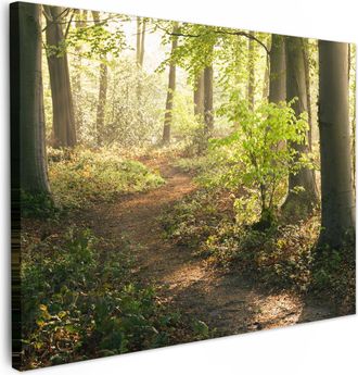 MuchoWow © Bilder 80x60 cm Wohnzimmer Deko Modern Wandbild Foto auf Leinwand Bild Schlafzimmer Room Decor Geschenke Wandbilder Wald - Bäume - Weg - Sonne - Pfl
