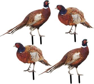 Yardwe 2sätze Realistisches Doppelseitiges Acryl Fasan Gartenschild Wetterfestes Gartendeko Dekoartikel Garten Für Garten Rasen Außenbereich