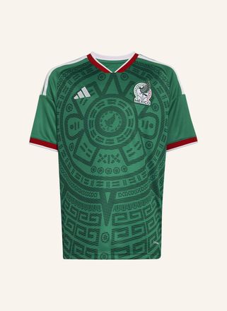 adidas Mexico 26 Kids Heimtrikot gruen