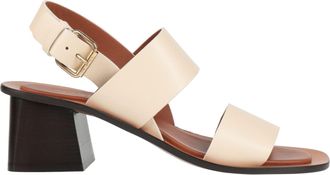 Mansur Gavriel SANDA