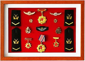 Generic Medaillenvitrine Schattenbox Rahmen Bilderrahmen Medaillenhalter für Sport Medaillen Vitrine Schrank