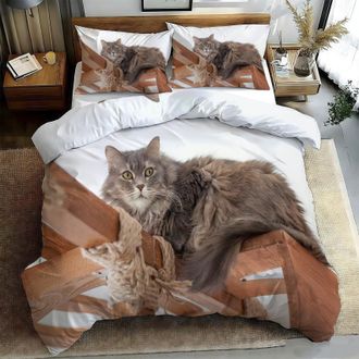 Generic Bettw&auml;sche 200x200 Minimalistisch Bettbezug 200x200 Maine-Coon-Katze Bettbezug mit 2 Kissenbez&uuml;ge 80x80cm, Bettw&auml;sche-Sets Microfaser mit Rei&szlig;verschlu