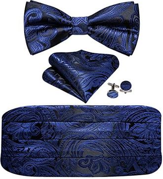 Barry.Wang Ensemble Ceinture de Smoking Noeud Papillon pour Homme, Ceinture de Smoking en Soie Noeud Papillon Pr&eacute;-nou&eacute; Pochette de Costume Boutons de Manchette, 