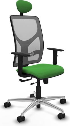 Piqueras y Crespo B&uuml;rostuhl mit 1D-Armlehnen, h&ouml;henverstellbarer Lendenwirbelst&uuml;tze und festem Kopfteil, ausgestattet mit Syncro/Traslack und Schneideschaum, Grau/Gr&uuml;n