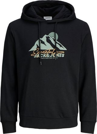 Jack & Jones Sweatshirt JJSun