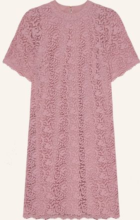 Joop Spitzenkleid Darlene rosa