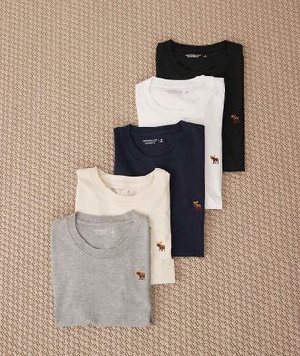 Abercrombie & Fitch 5er-Pack T-Shirts in Schwarz/Marineblau/Grau/Cremewei&szlig;/Wei&szlig; mit Markenlogo-Bunt