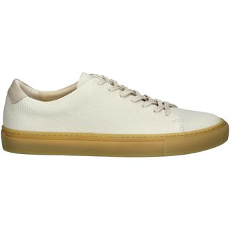 Sneaky Steve Sneaker