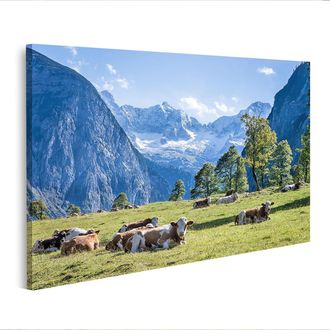 Islandburner Bild auf Leinwand Bergwiese Mit Kuehen Und Alpenpanorama Im Sonnenschein Bilder Wandbilder Poster