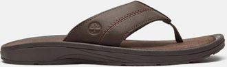 Timberland Originals Slide Sandalen f&uuml;r Herren in Dunkelbraun, Herren, Braun, Gr&ouml;&szlig;e
