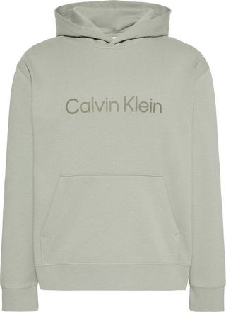 Calvin Klein Kapuzensweatshirt LS EU STANDARD LOGO 350TERRY PO Mit Rundhalsausschnitt, regular fit