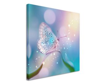 Paul Sinus Art Leinwandbild 60x60cm Wei&szlig;er Schmetterling auf Grashalm auf Leinwand exklusives Wandbild moderne Fotografie f&uuml;r ihre Wand in vielen Gr&ouml;&szlig;en