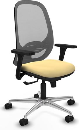 Piqueras y Crespo Stuhl mit 3D-Armlehnen, h&ouml;henverstellbare Lendenwirbelst&uuml;tze, mit 3-fach verstellbarer Lendenwirbelst&uuml;tze, mit 3 Positionen und Schneideschaum, Grau/C